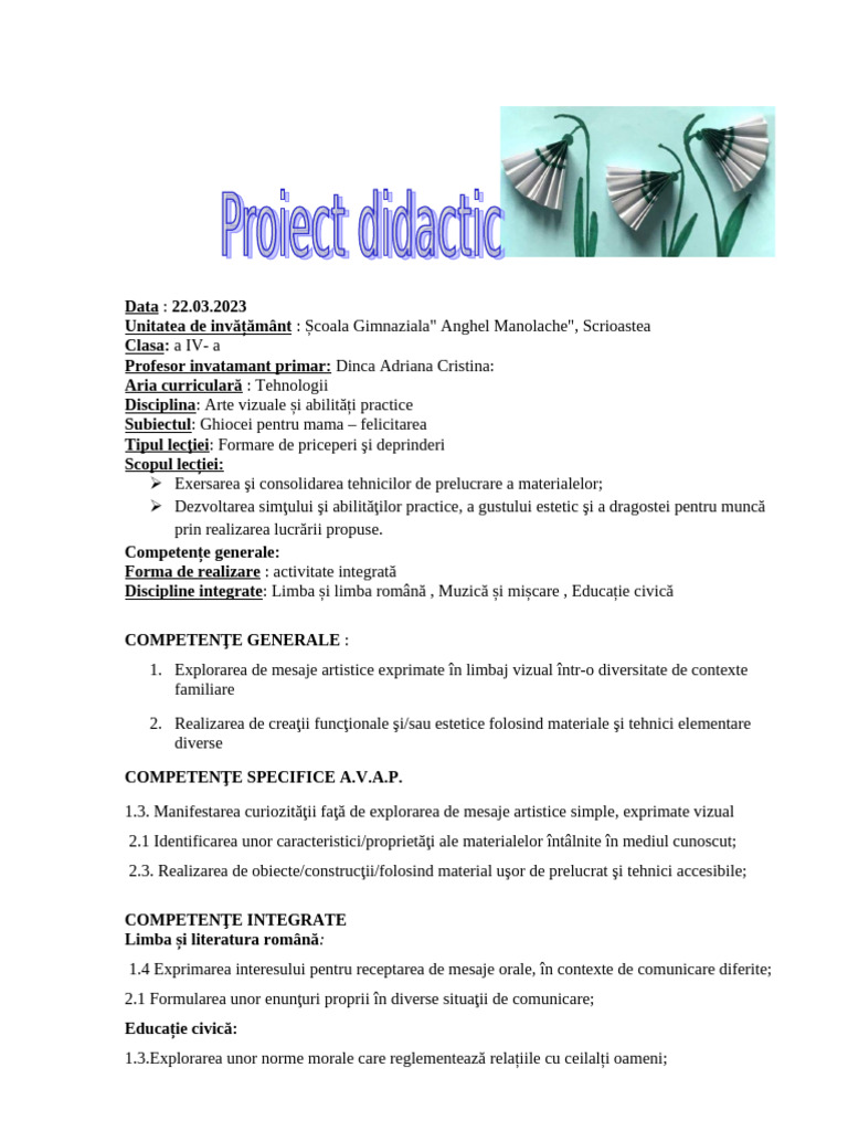 Proiect Avap Elena Gogu | PDF