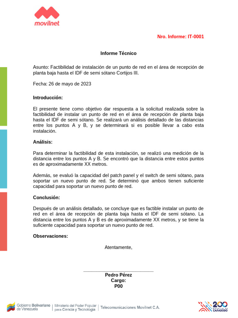 Modelo NUEVO INFORME TECNICO ORIGINAL | PDF