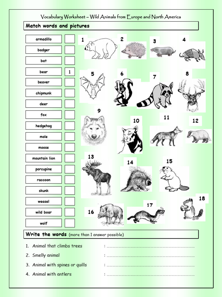 Wild Animals Matching 2 | PDF