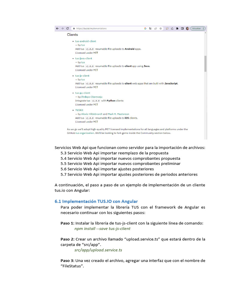 Manual de Servicios Web Api - SIRE - Compras v18 (121-127) | PDF
