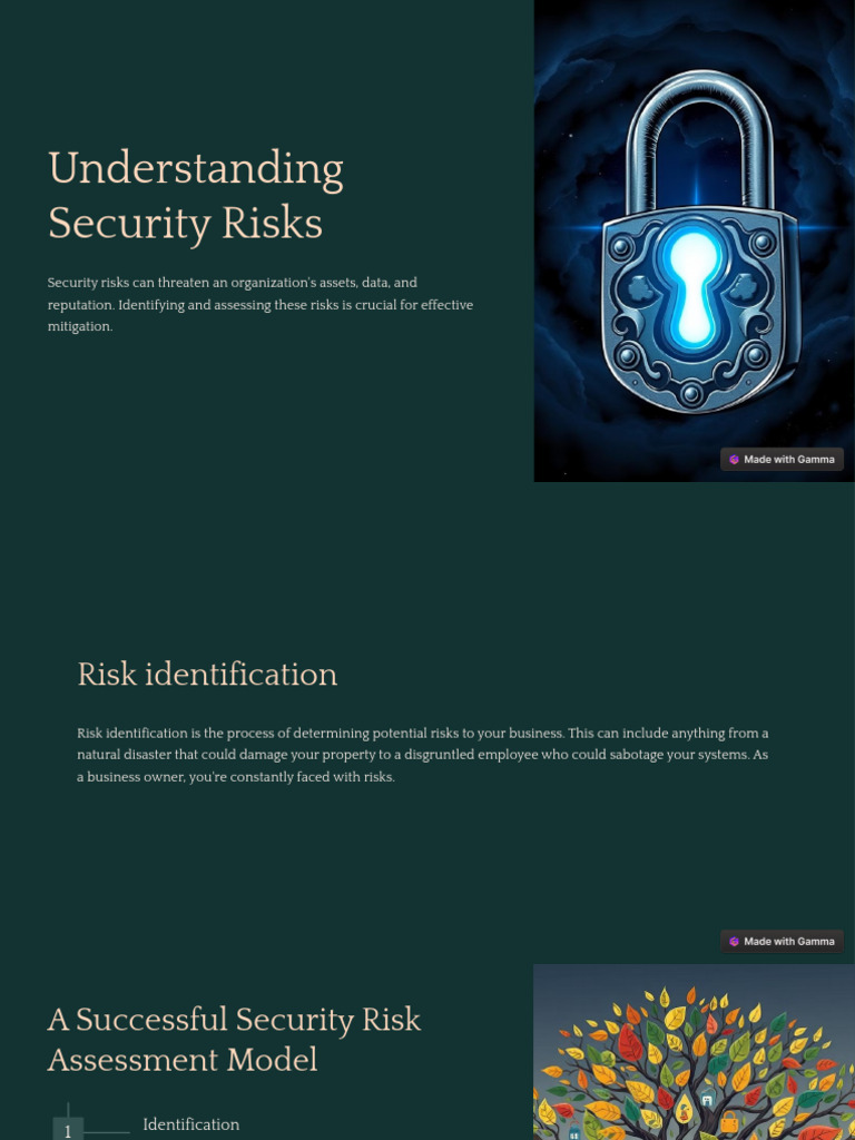 Understanding Security Risks | PDF