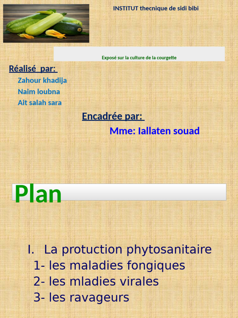 Exposée de La Phytosanitaire SUR La Courgett | PDF