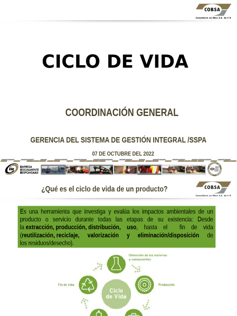 Ciclo de Vida | PDF