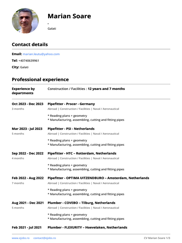 CV Soare Marian en | PDF