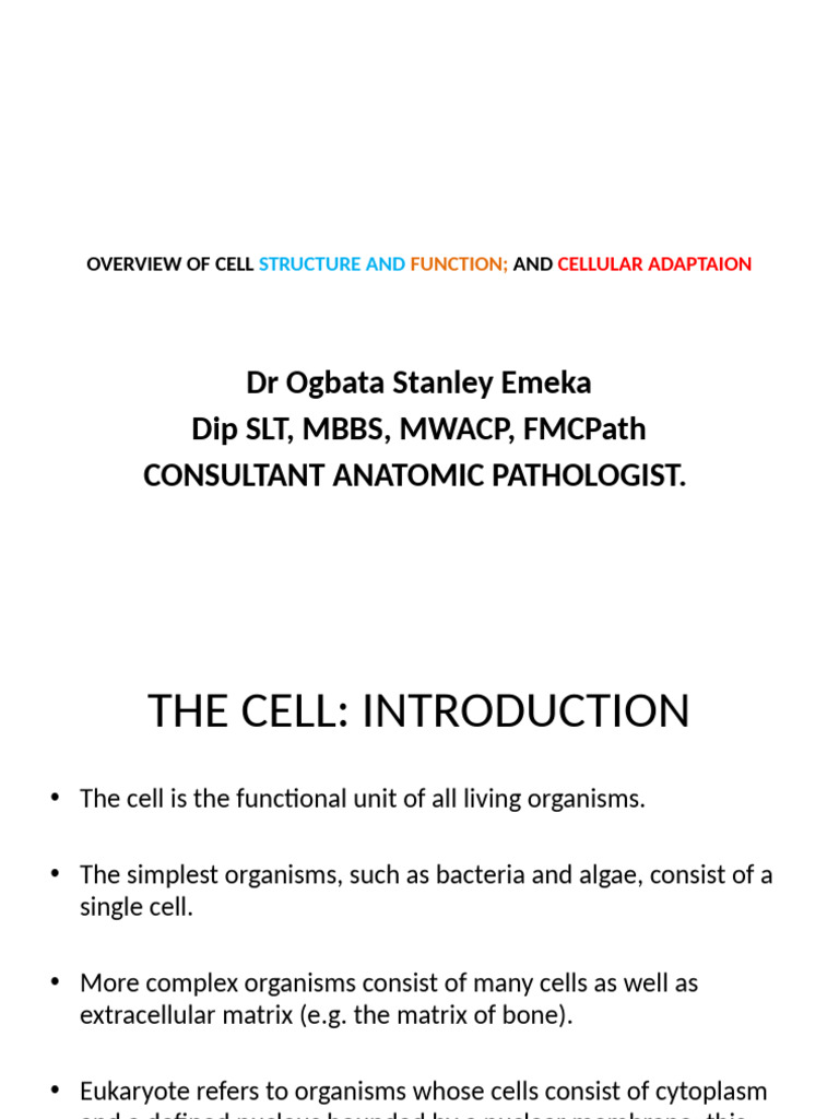 THE CELL | PDF