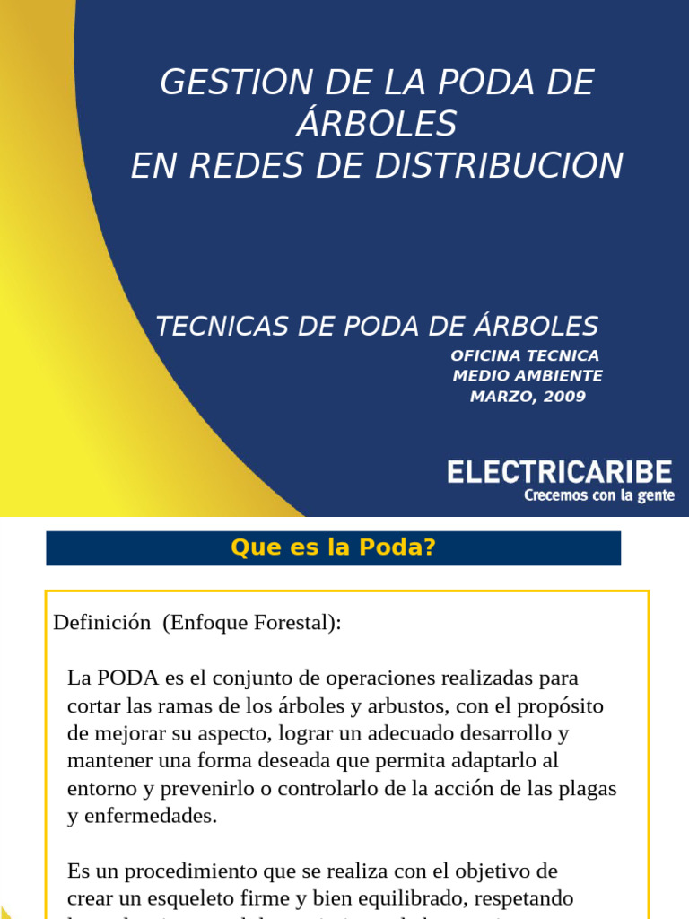 Tecnicas de Poda 2009 | PDF