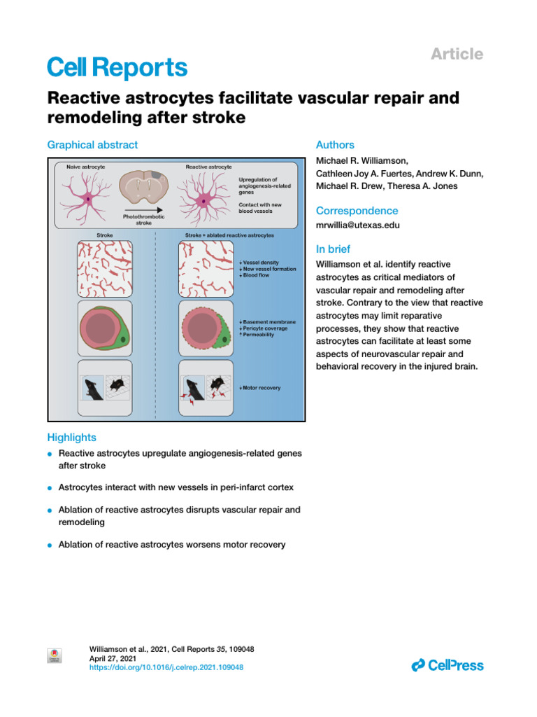 Reactive Astrocytes Facilitate Vascular Repair and Remodeling After ...