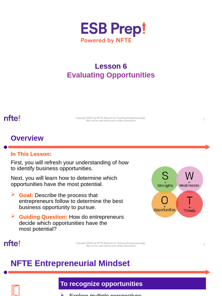 06 Evaluating Opportunities ESB Prep | PDF