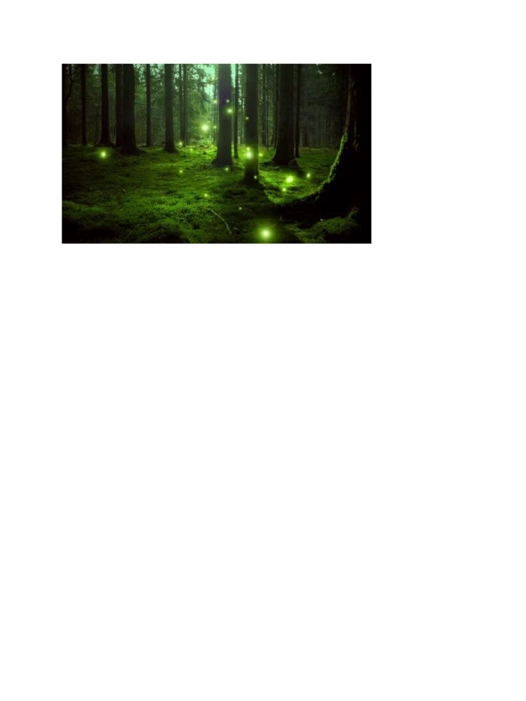 forest | PDF