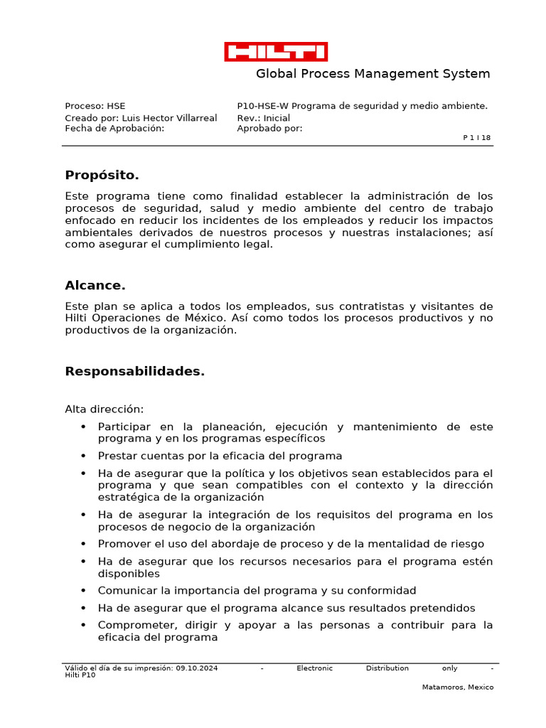 0.0 Programa de HSE | PDF