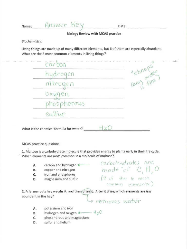 Biology Review With MCAS Practice Biochemistry Answer Key | PDF