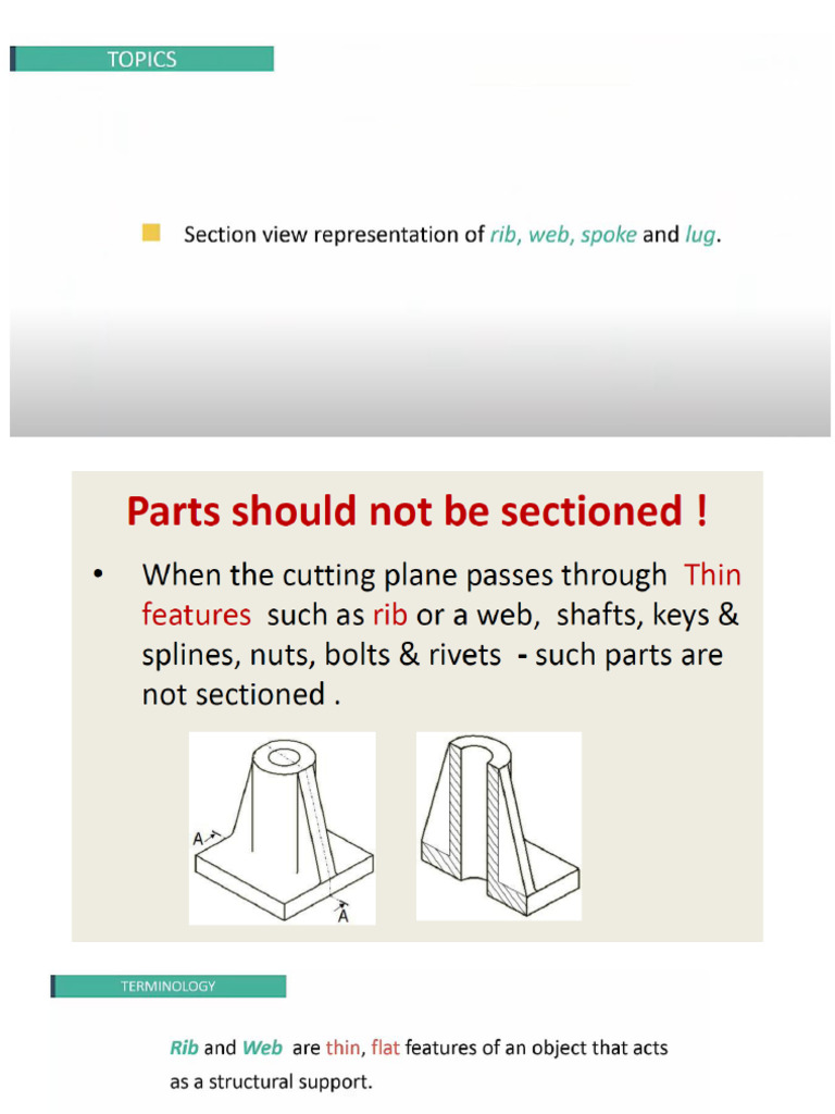 Sectional View With Ribs | PDF