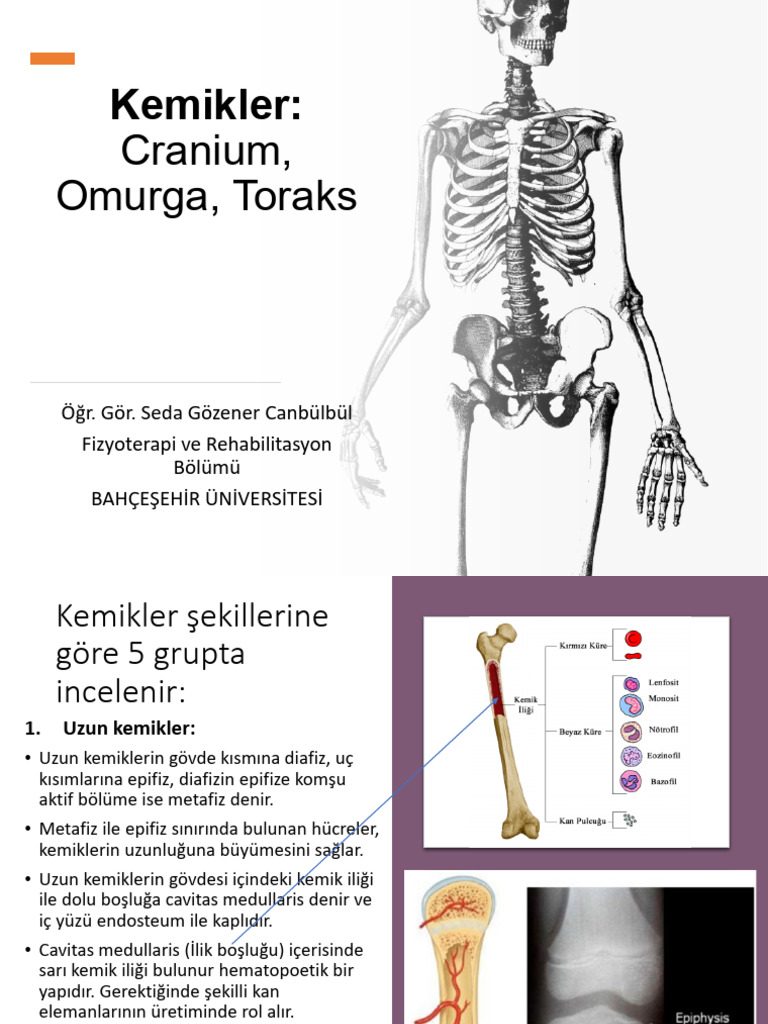 0e75 927c 42ae A9ac 2796f5e683c3 | PDF