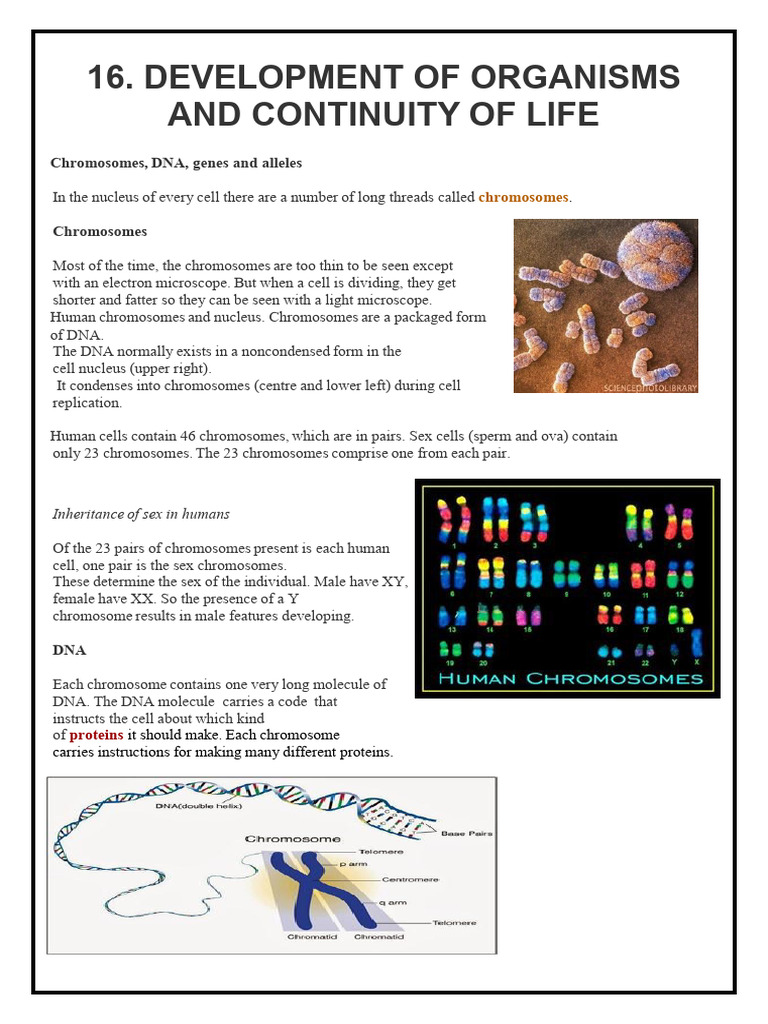Development of Organisms and Continuity of Life (2024) | PDF