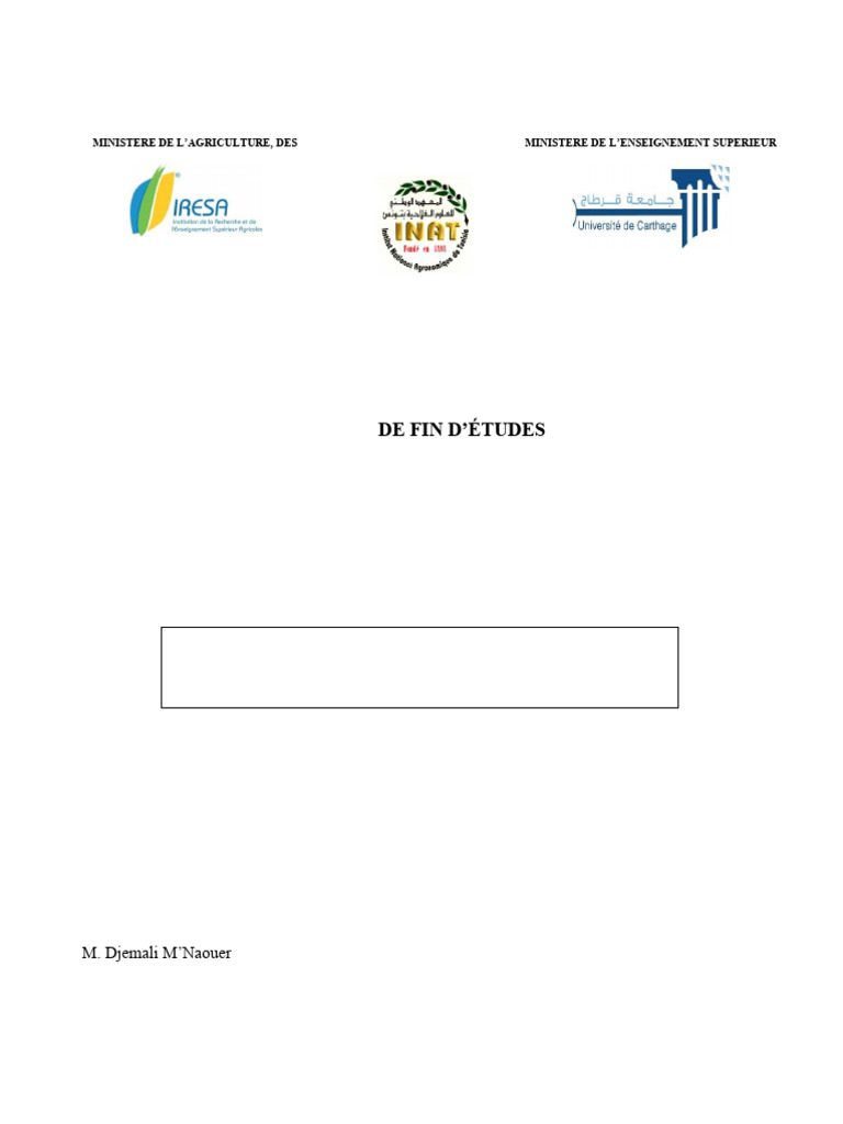 Copie Final Corrigée Pfe de Bouya - 240902 - 132426 | PDF