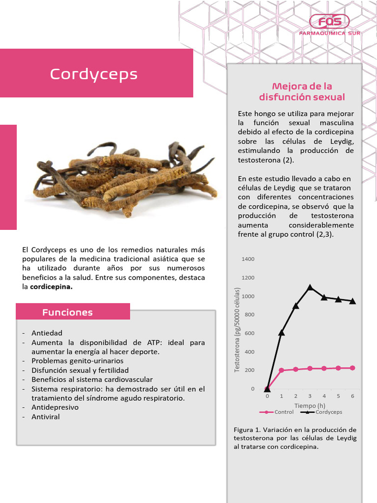 Mono Graf I A Cordy Ceps | PDF