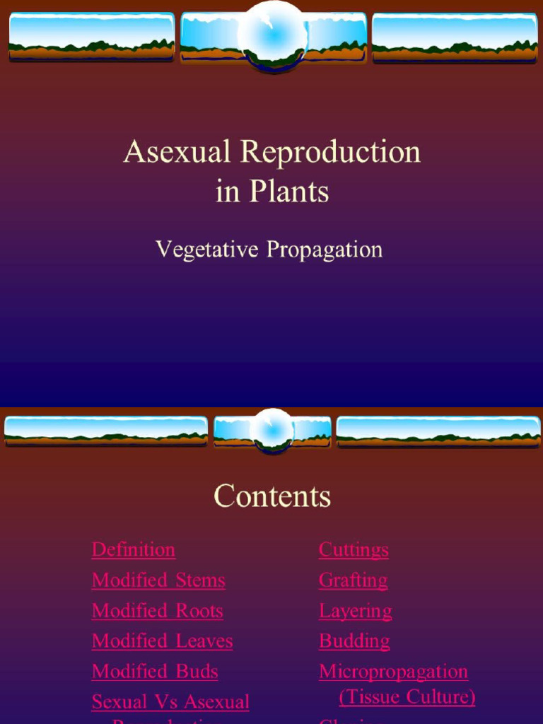 Asexual Reproduction in Plants | PDF