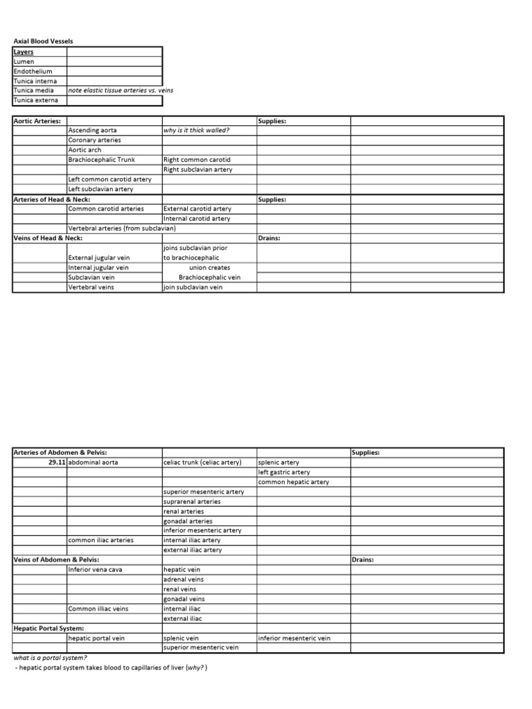 Axial Blood Vessels To Know - Fillable | PDF | Vein | Artery