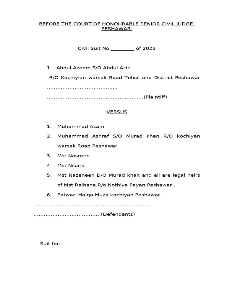 Abdul Azeem Civil Suit Declaration Partition (Scj) | PDF