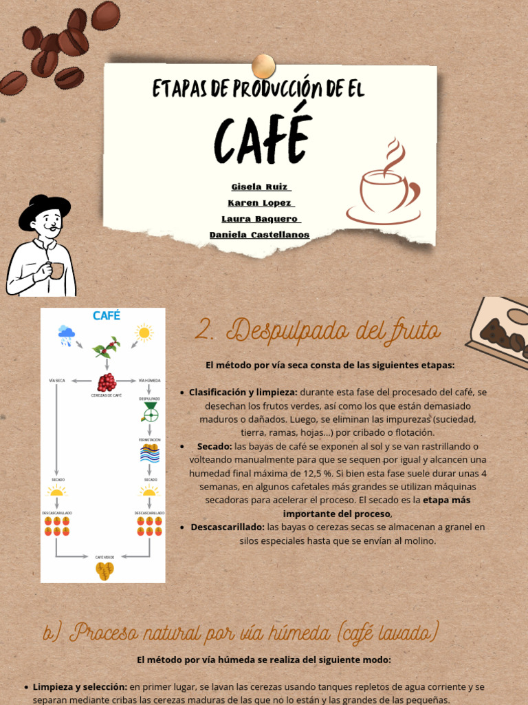 Cafe | PDF