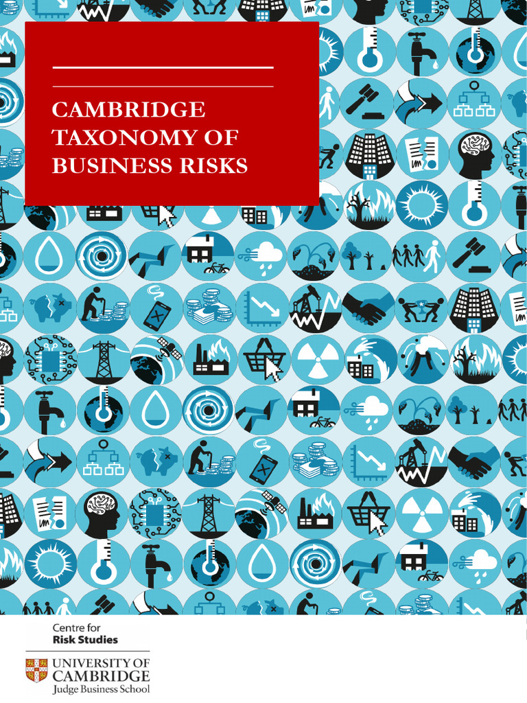 Business Risks Taxonomy | PDF | Risk | Securities (Finance)