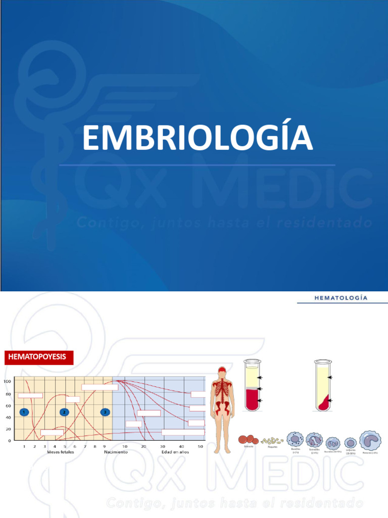 RM2025 - CCBB - Hematología | PDF
