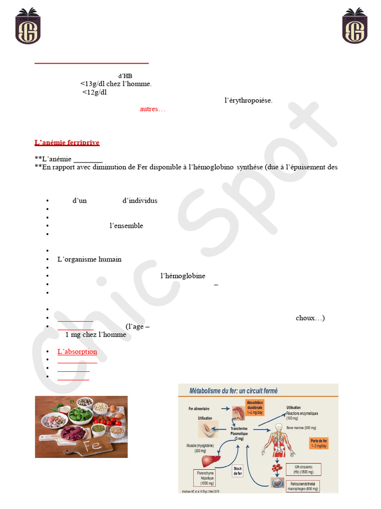 3 - Anémie Carentielle | PDF