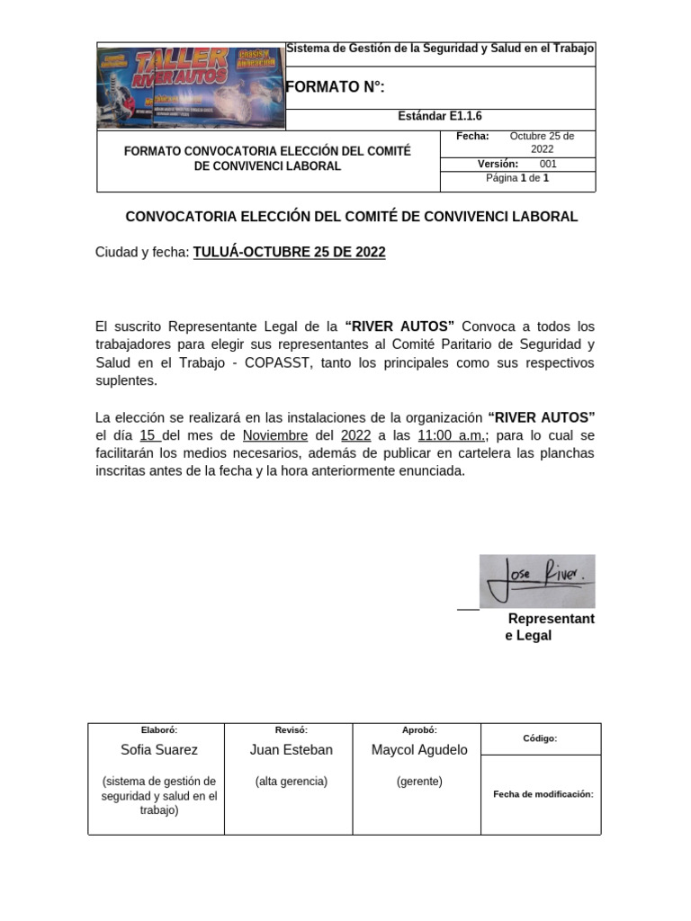 Formato Convocatoria Elección de Comité de Convivencia Laboral | PDF