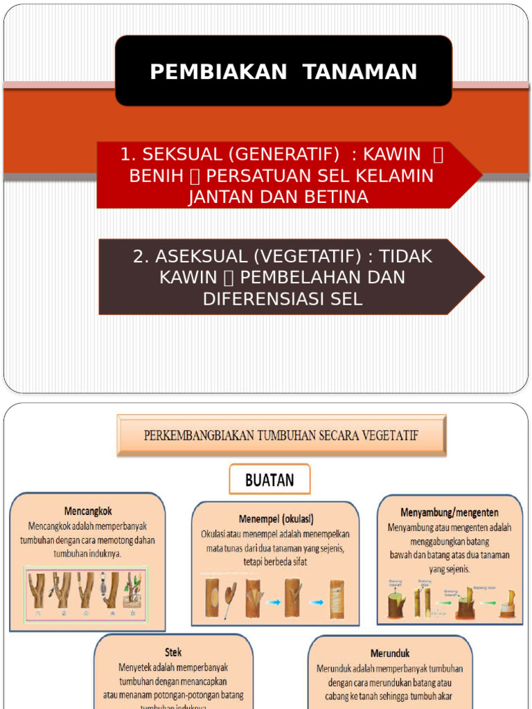 Perbanyakan Tanaman | PDF