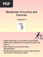 Python Programming Assignment Help: Problem Set 1 | PDF | Percentage ...