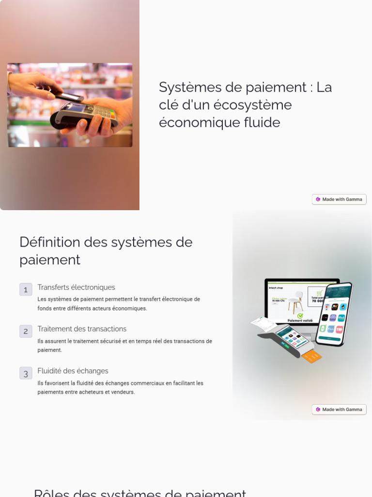 Systemes de Paiement La Cle Dun Ecosysteme Economique Fluide | PDF