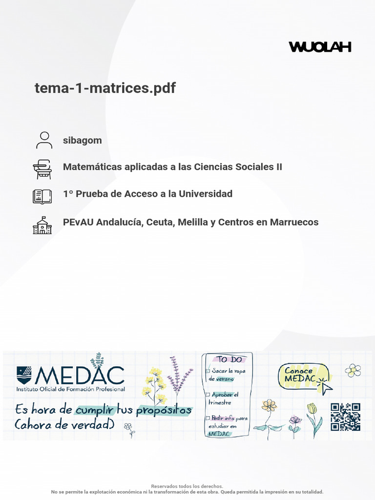 Tema 1 Matrices PDF | PDF