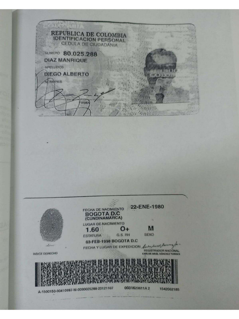 Diego Alberto Diaz Manrique | PDF