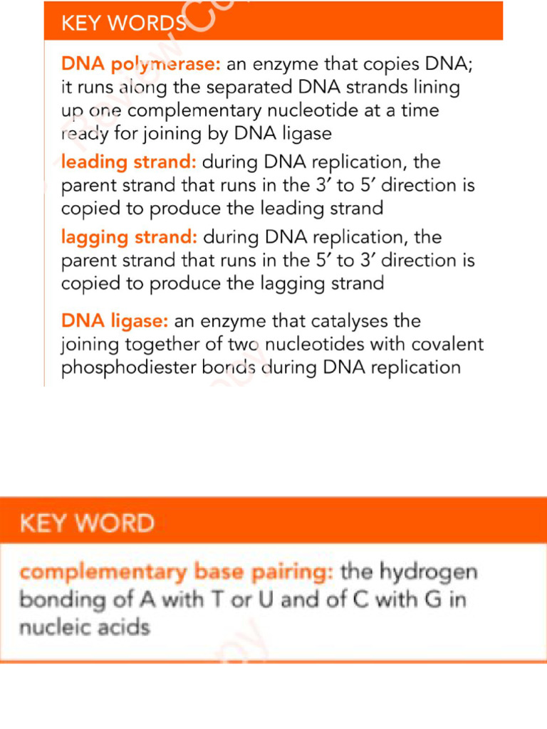 Image - PDF - Biology 20240920 - 0725 | PDF