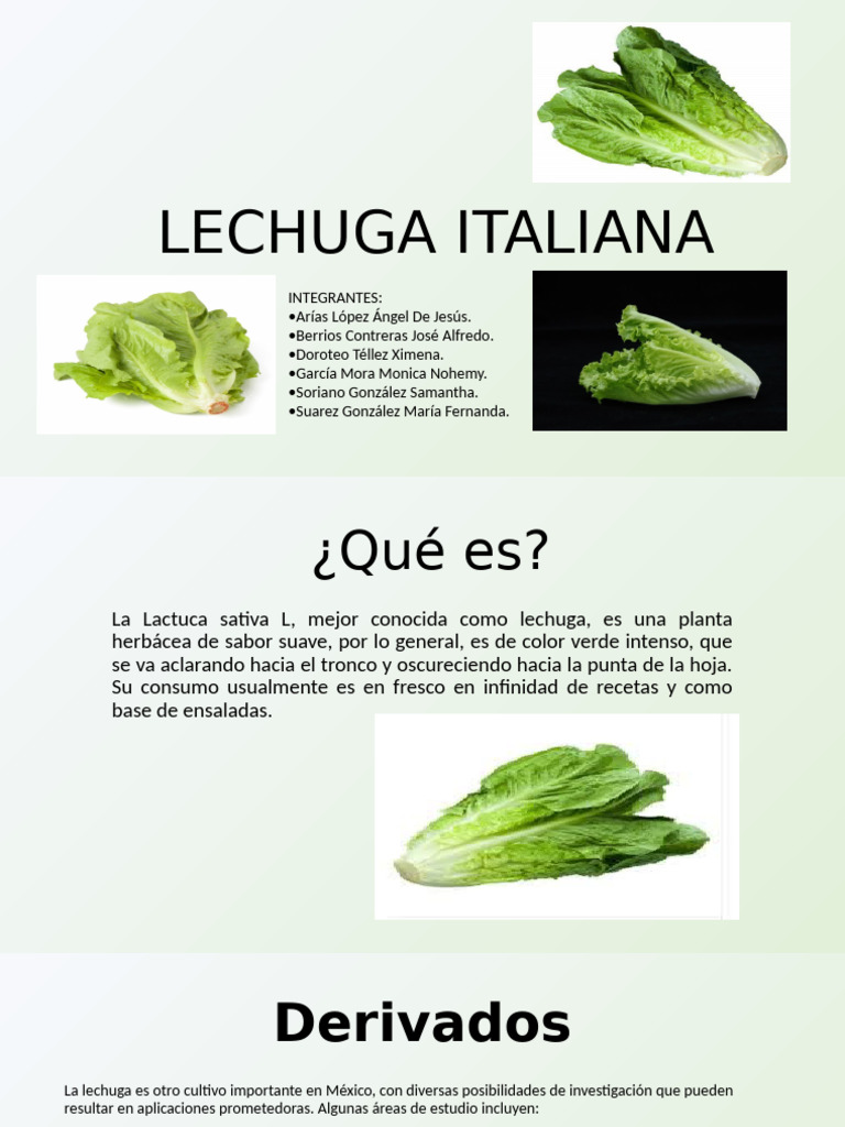 Lechuga Italiana2.1 | PDF