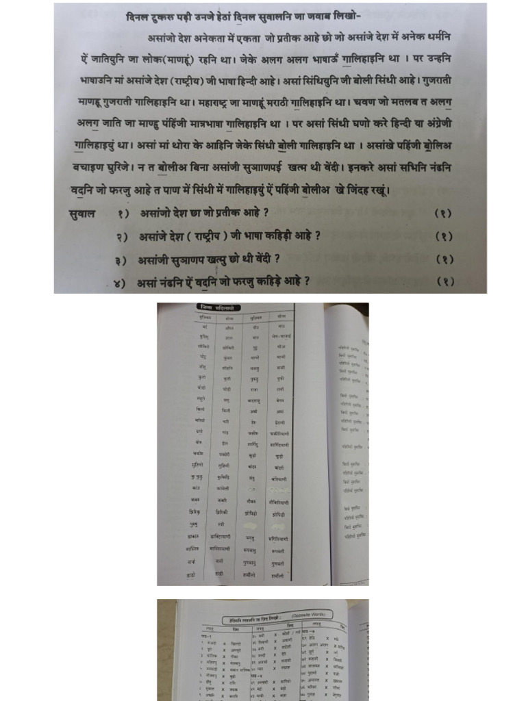 Sindhi Notes Ekta Manuja Paragraph | PDF