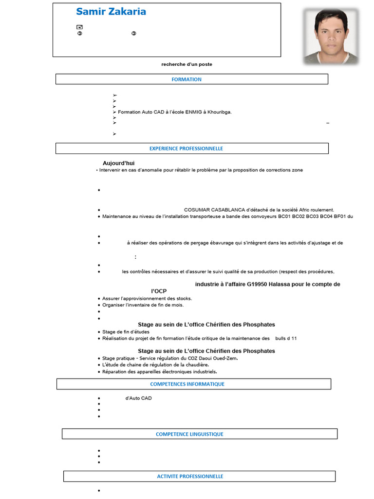 Samir Zakaria - CV | PDF