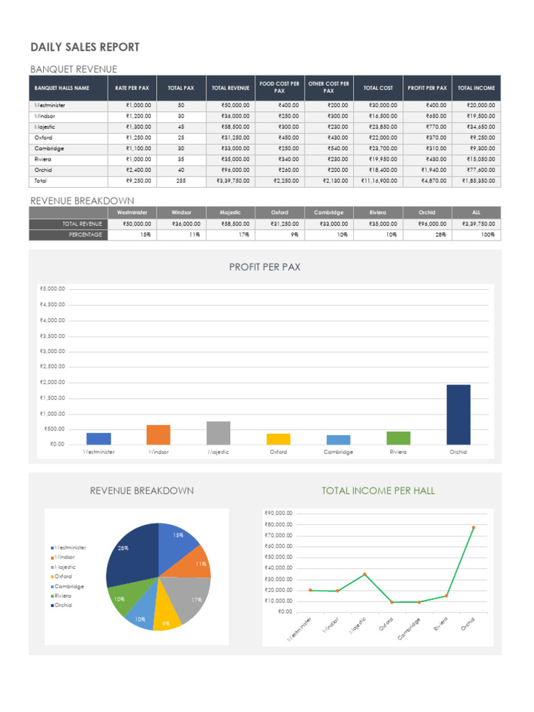 Daily Sales Report | PDF