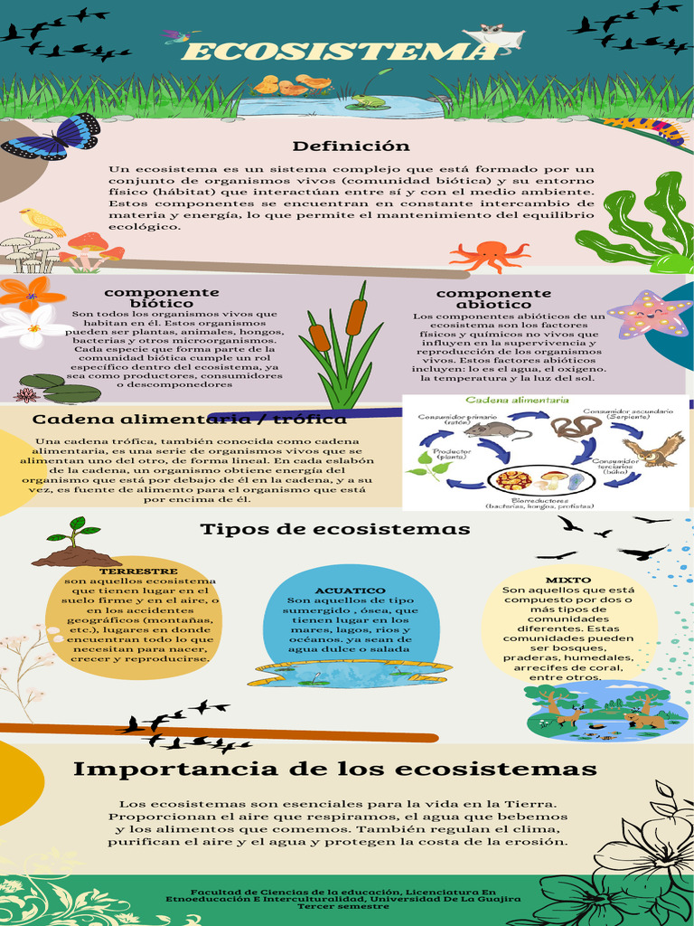 Ecosistema - Infografia | PDF