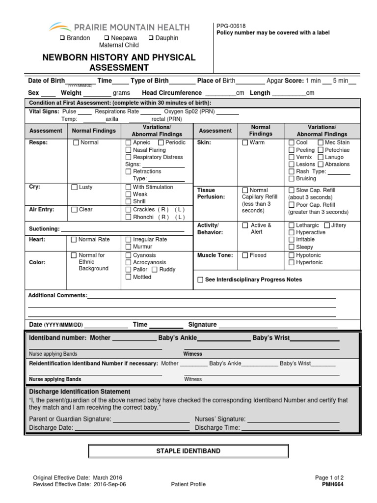 Newborn History and Physical Assessment | PDF | Medical Specialties ...