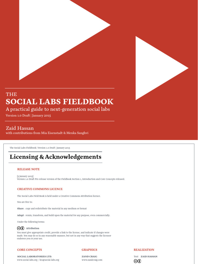 Social Labs Fieldbook D12 | PDF