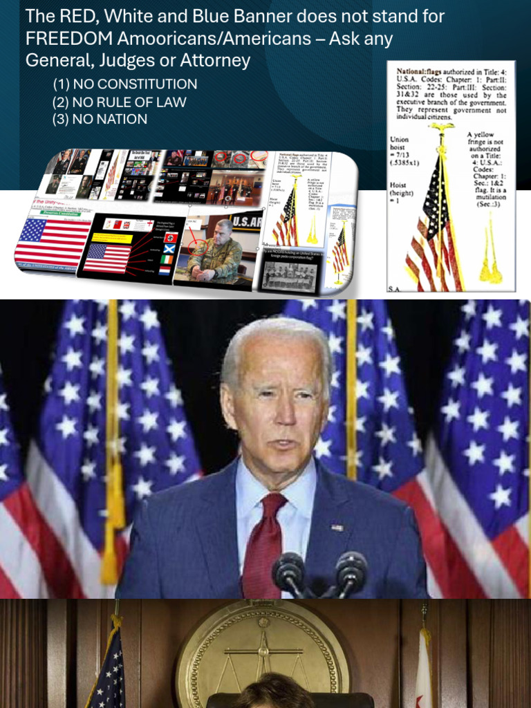 Exposing the U.S. Inc. as a Fraudulent Entity | PDF | Article One Of ...