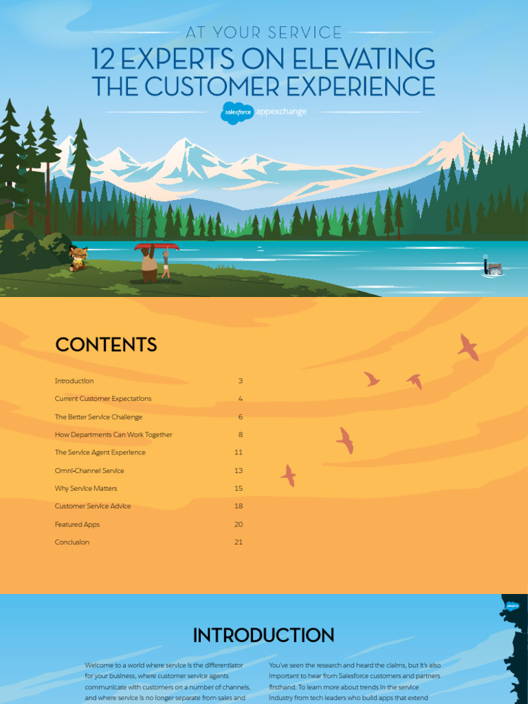 12 Experts On Elevating The Customer Experience | PDF