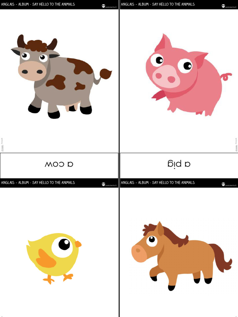 Flaschcards Say Hello To The Animals | PDF