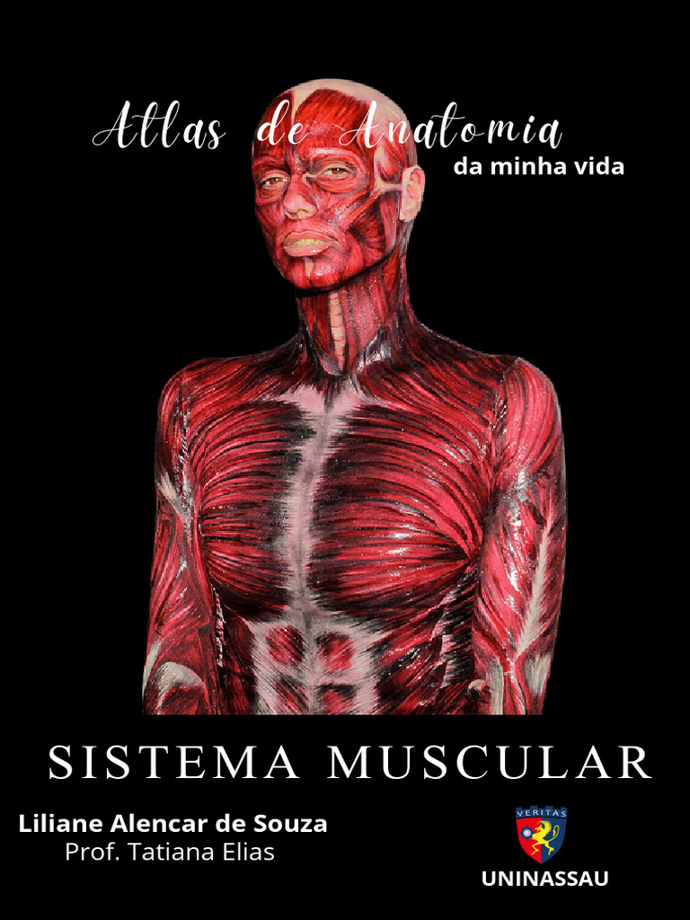 Atlas de Anatomia - 20241004 - 164804 - 0000 | PDF