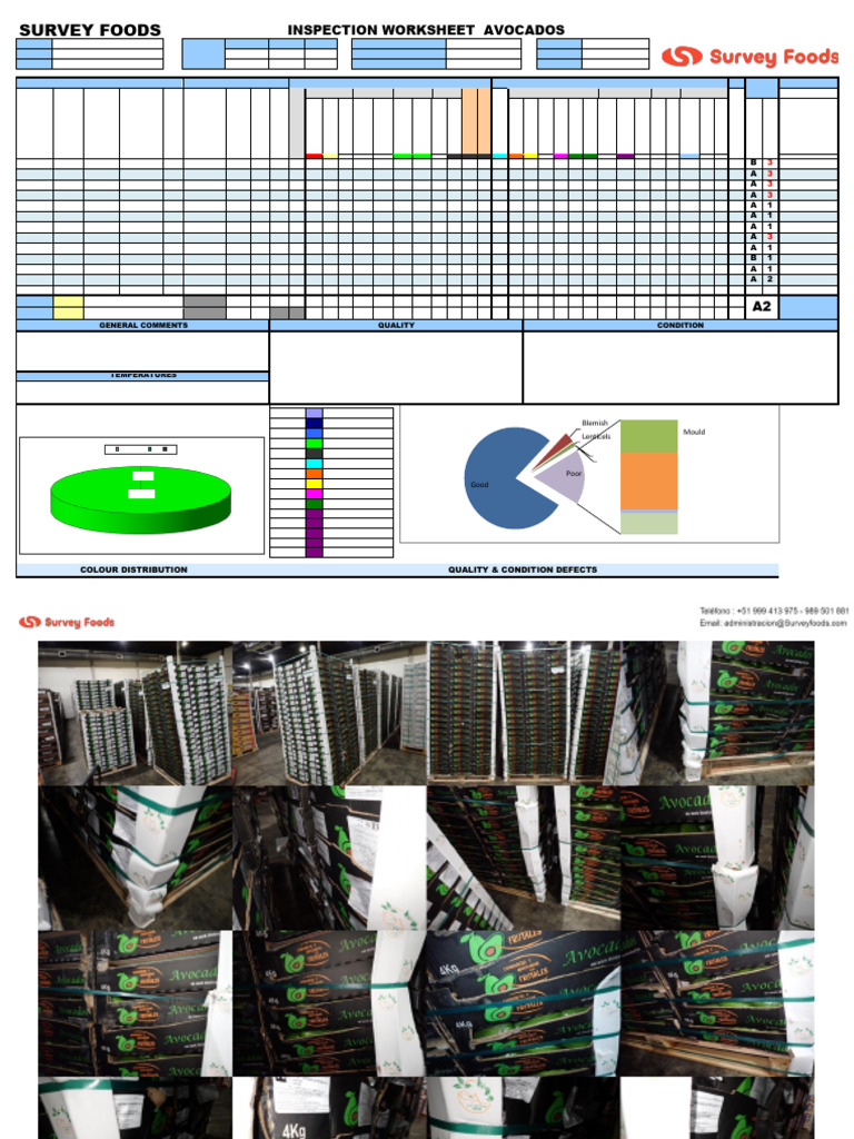 Survey Foods Report-BMOU9639020-Pe Rus #30pt | PDF