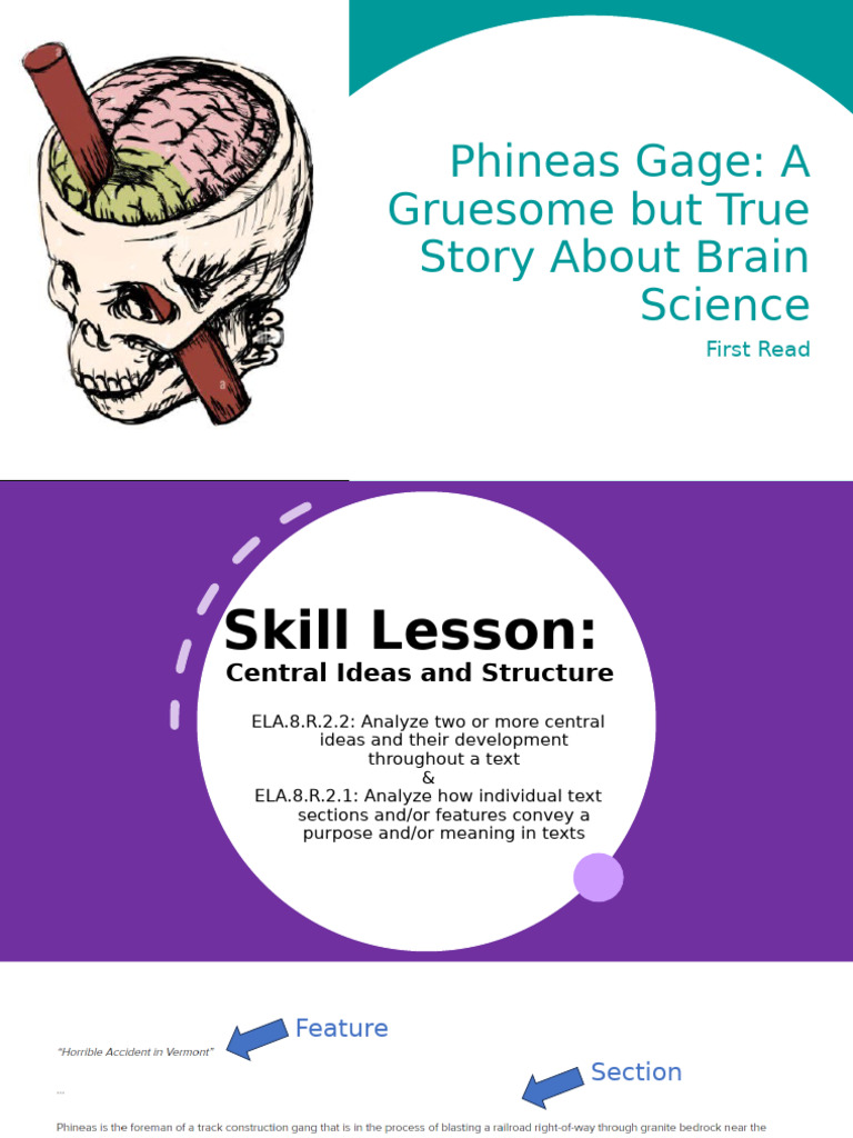 Unit 1, Lesson 6 Phineas Gage | PDF