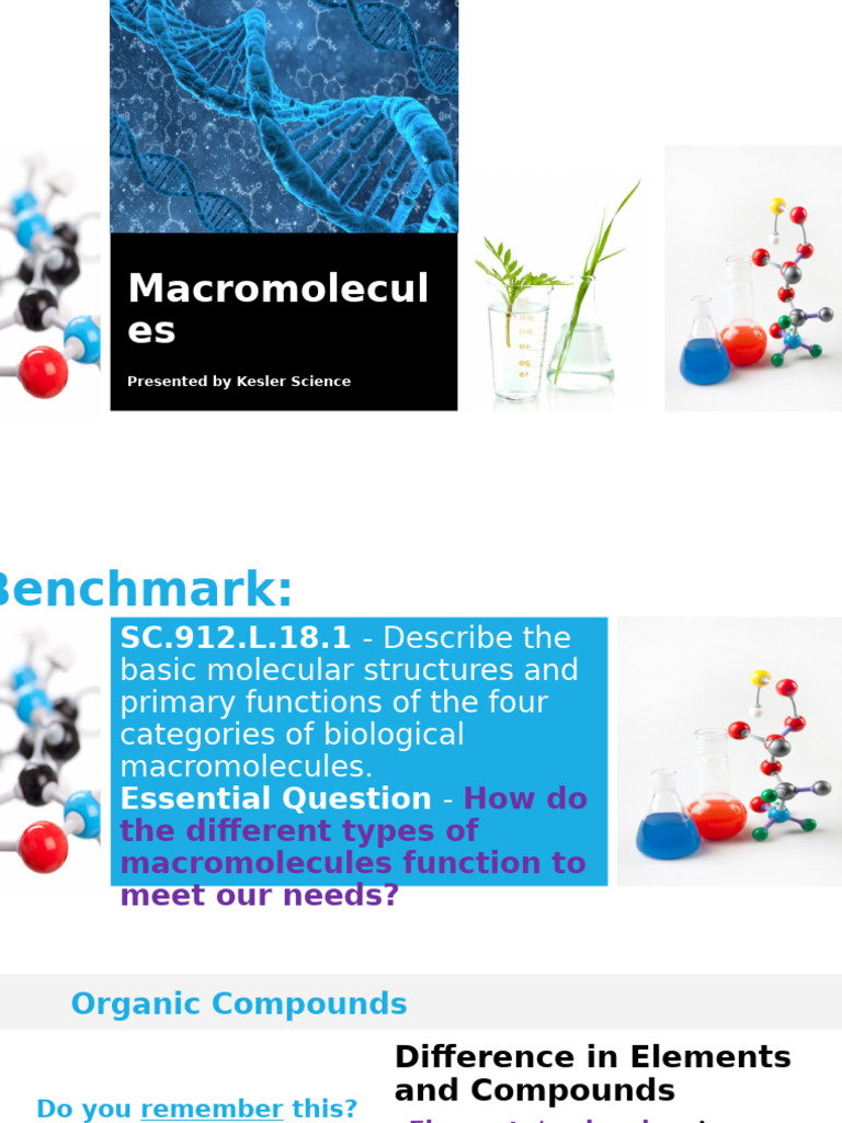 SC.912.L.18.1 - Macromolecules PPT - Student | PDF