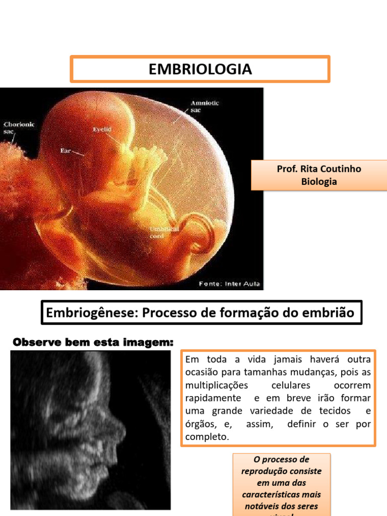Aula Desenvolvimento Embrionário | PDF