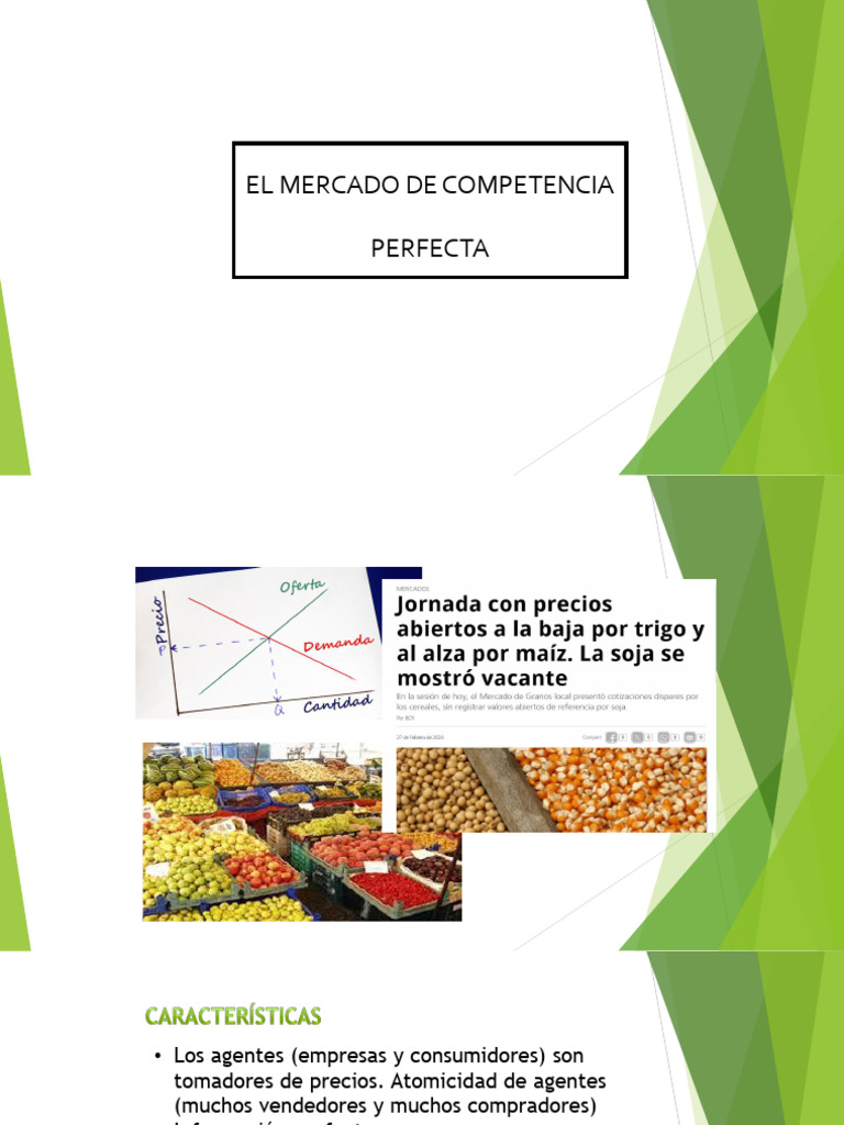 5 - El Mercado de Competencia Perfecta | PDF